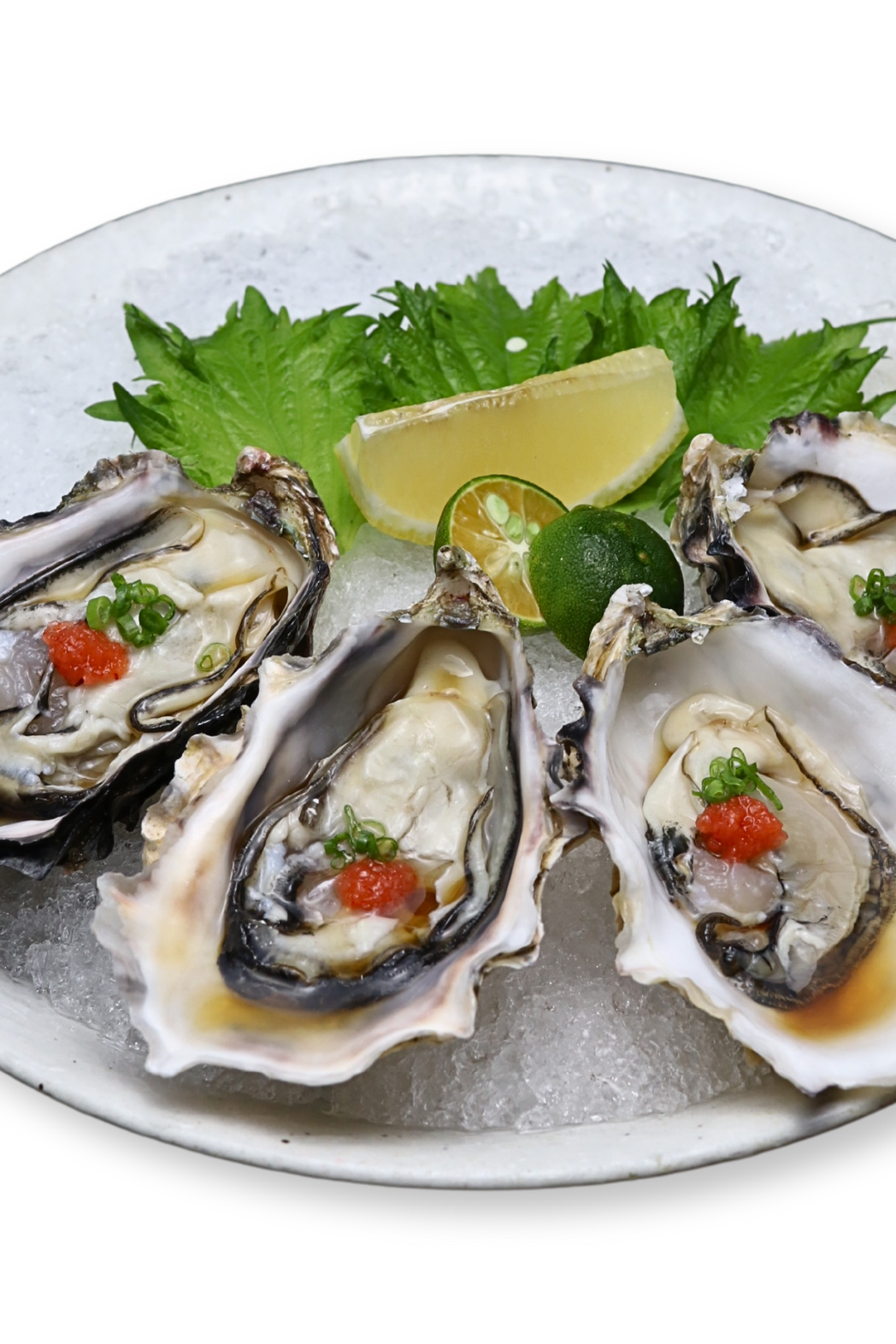 Kaki Oyster Ponzu – Mita Sushi